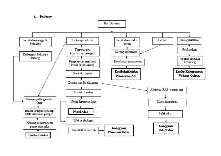 Pathway Perawatan Post Partum Spontan | PDF