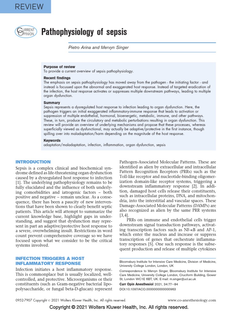 Pathophysiology of Sepsis | PDF | Inflammation | Macrophage