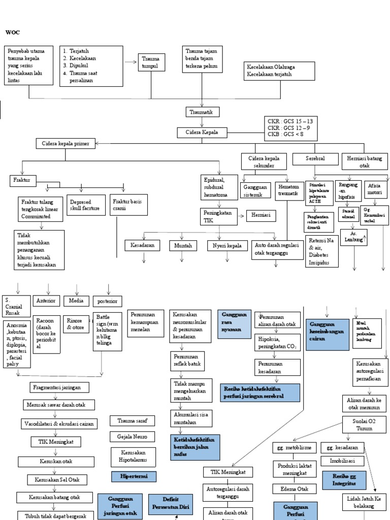Woc Trauma Kepala Fix | PDF