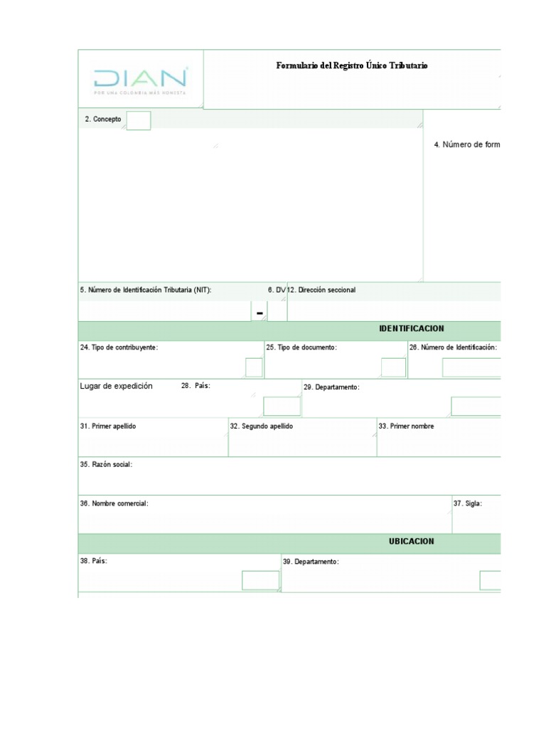 Formato Rut en Blanco para Diligenciar | PDF