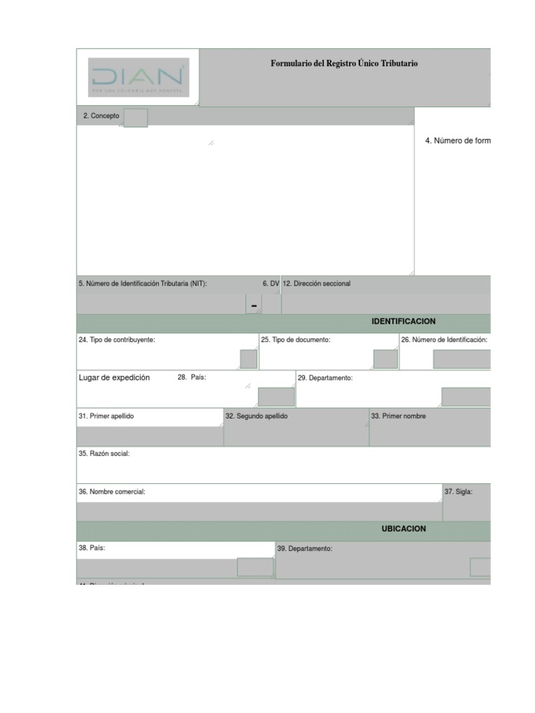 Formato Rut en Blanco para Diligenciar | PDF
