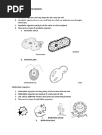 W3 - NOTES - Q2 - G7SCIENCE Unicellular and Multicellular Organisms ...