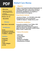 CV Brayan Alejandro Cerda Solis Curriculum | PDF | Economias