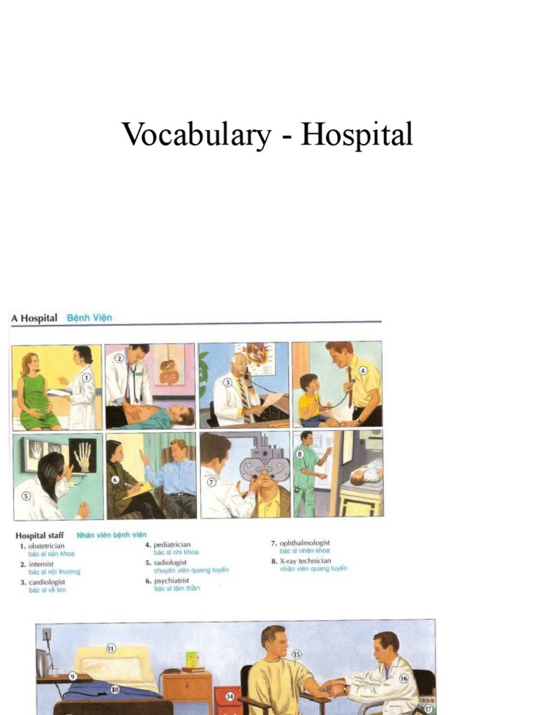 Hospital - Vocabulary | PDF
