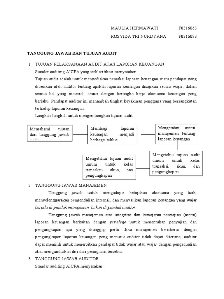 RMK Kelompok 5 Tanggungjawab Dan Tujuan Audit | PDF