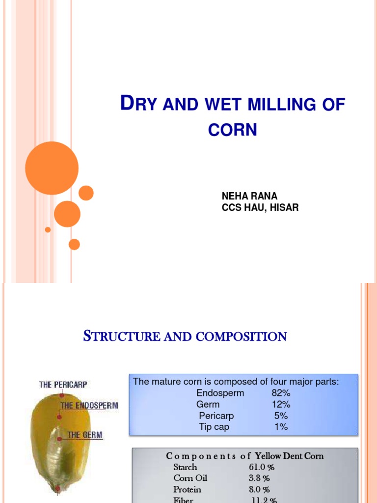 Corn Milling Processes Explained | PDF | Maize | Starch