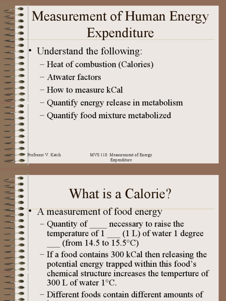 Measuring Human Energy Expenditure | PDF | Nature | Calorie