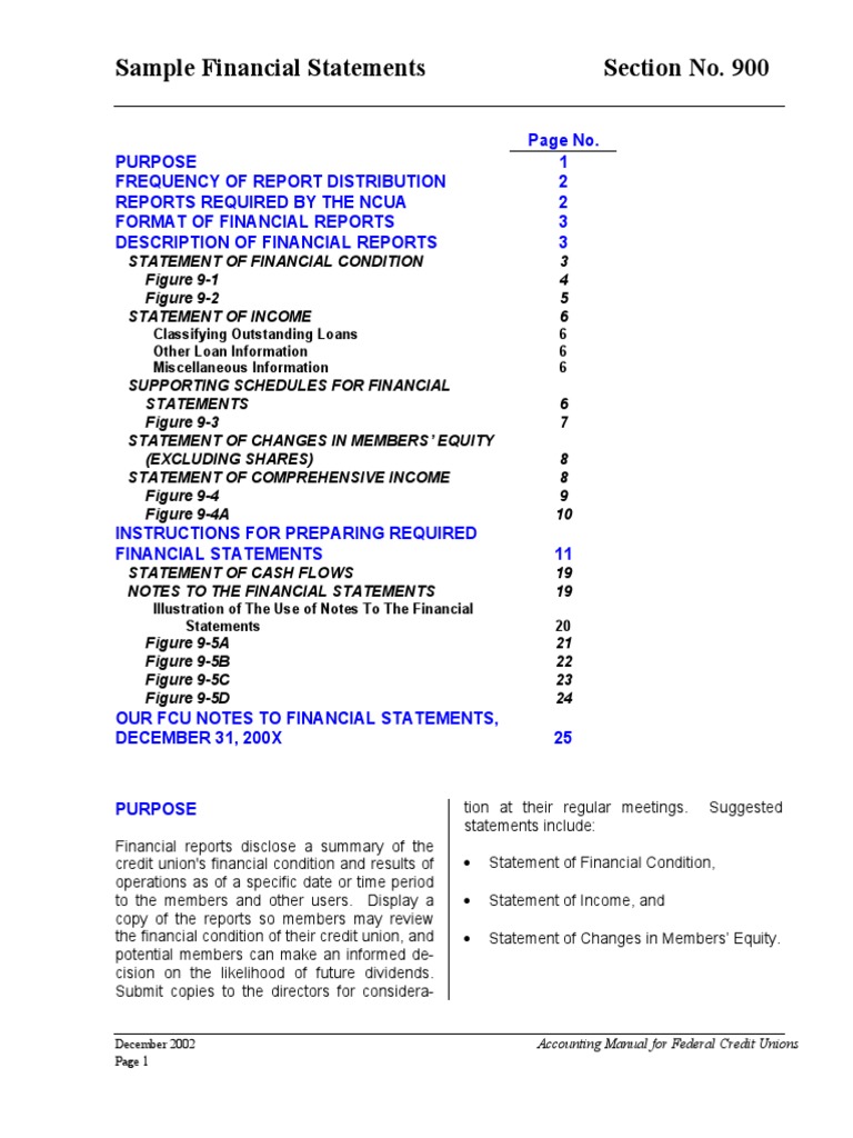 900 Sample Financial Statements All | PDF | Financial Statement | Loans