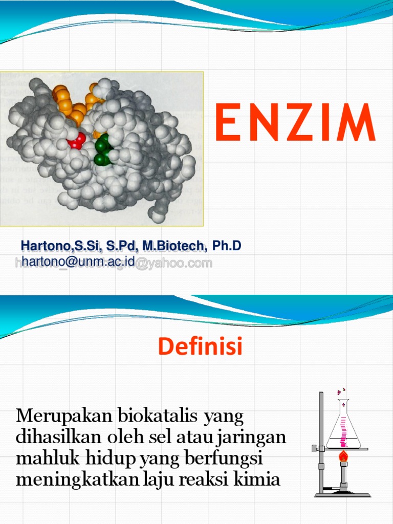 Kuliah - 4 ENZIM Dan Koenzim | PDF | Kesehatan Holistik | Sains ...