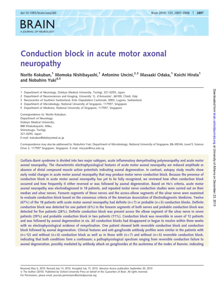 Conduction Block In Acute Motor Axonal Pdf Nervous System Clinical Medicine