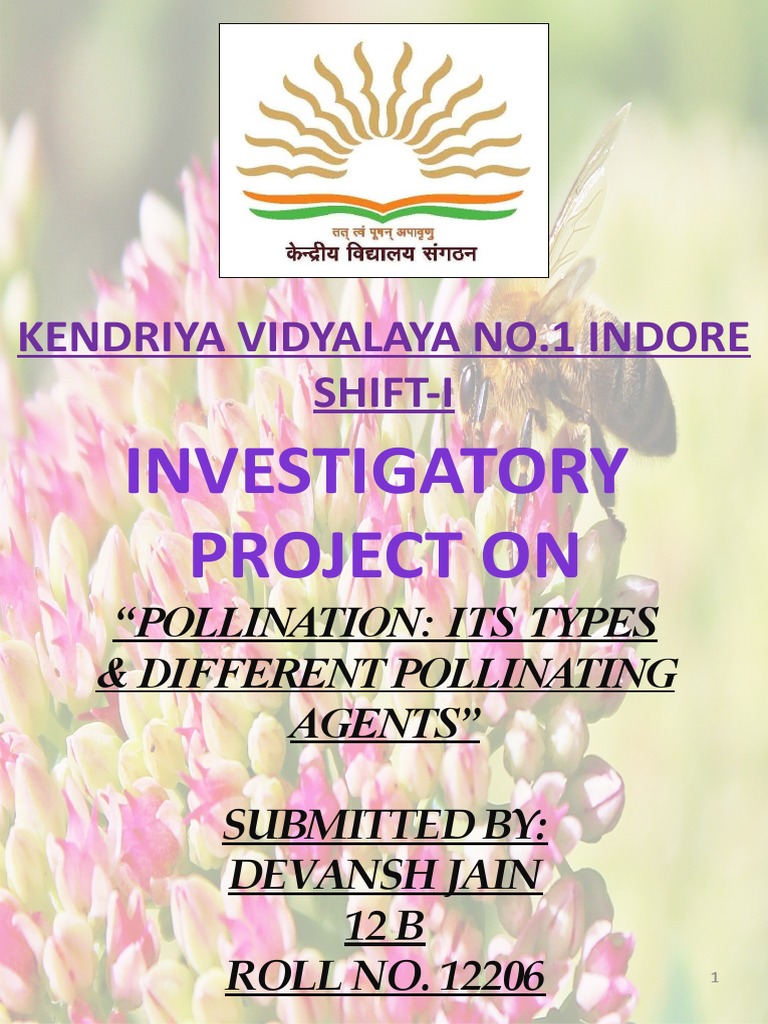 Class 12 Investigatory Project on Pollination | PDF | Flowers | Pollination