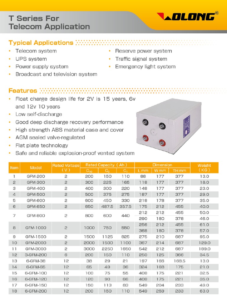 Wolong Battery Brochure | PDF