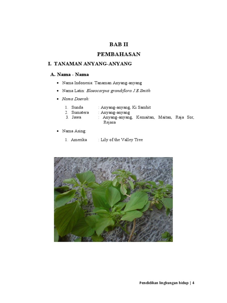 Tanaman Anyang-Anyangan: Ciri dan Manfaat | PDF | Sains & Matematika