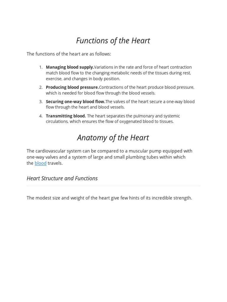 Heart Anatomy | PDF | Heart Valve | Heart