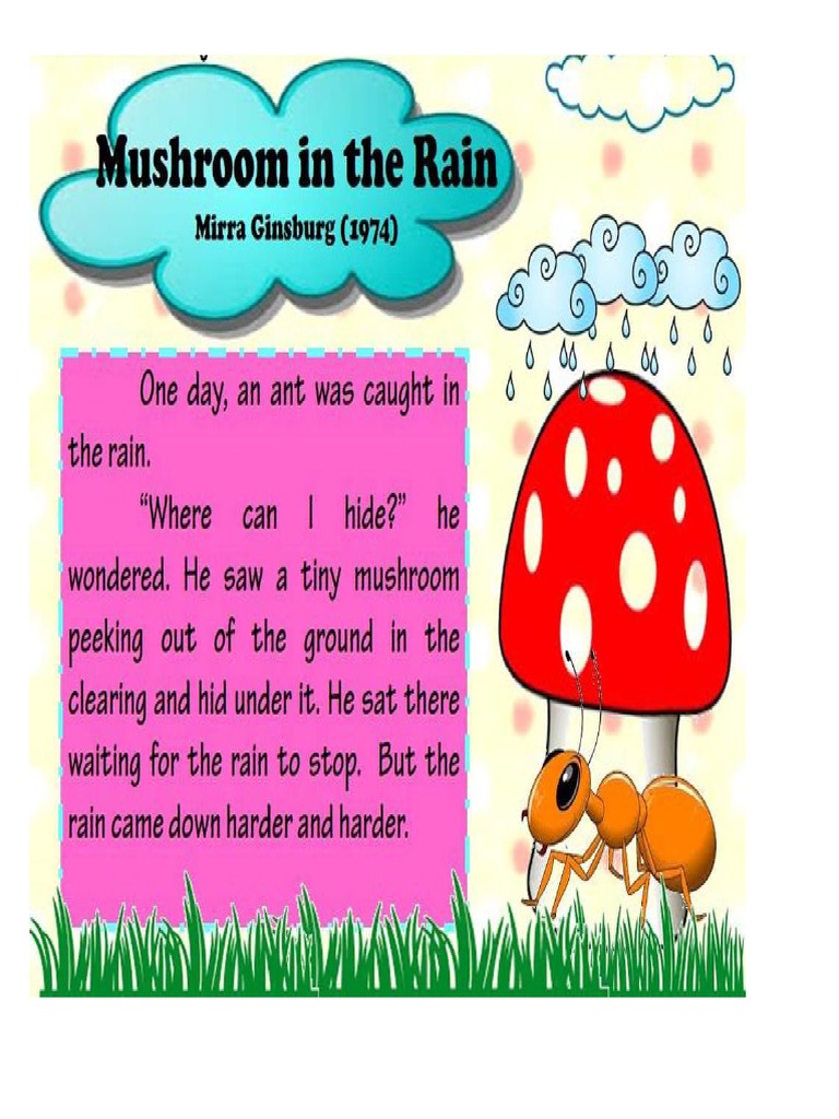 Mushroom in The Rain | PDF