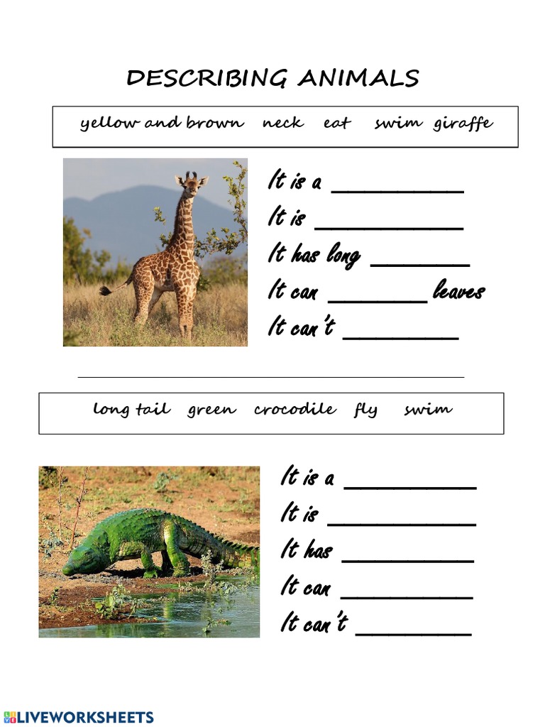 Describing Animals | PDF