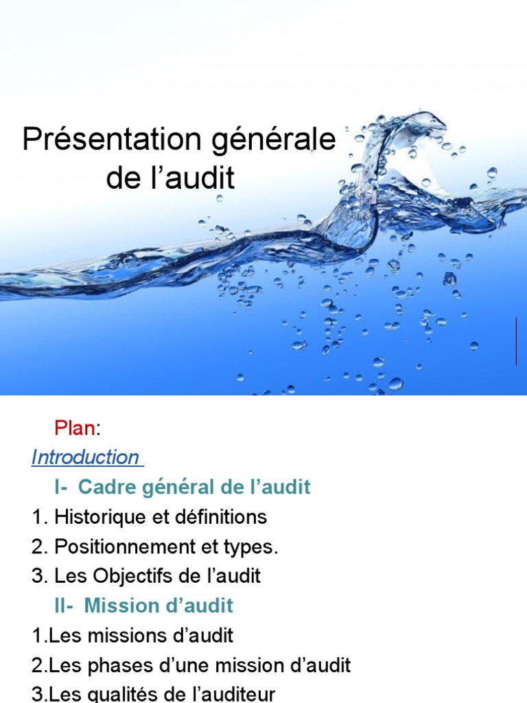 Géneralité Sur L'audit | PDF | Audit financier | Audit