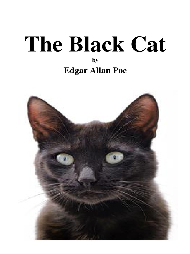 Black Cat Easy Version | PDF