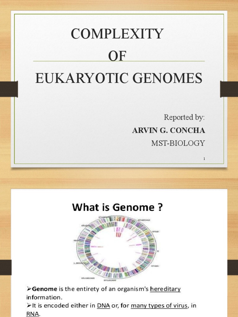 Complexity of EUKARYOTic Genome | PDF