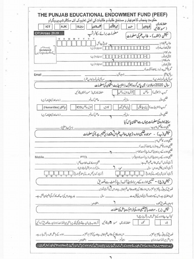 PEEF Intermediate Form | PDF