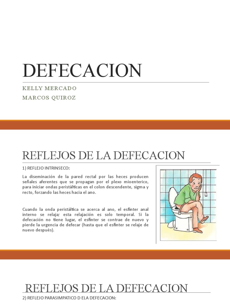 DEFECACION | PDF | Recto | Anatomía humana