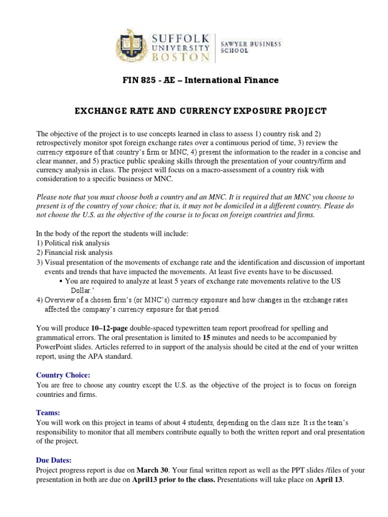 Forex Currency Exposure Project | PDF | Exchange Rate | Foreign ...