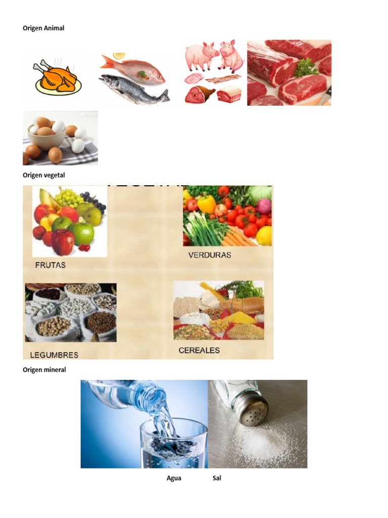 Tipos de Origen: Animal, Vegetal, Mineral | PDF