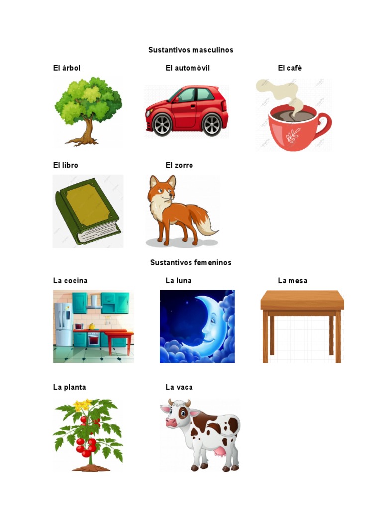 5 Sustantivos Masculinos y Femeninos | PDF