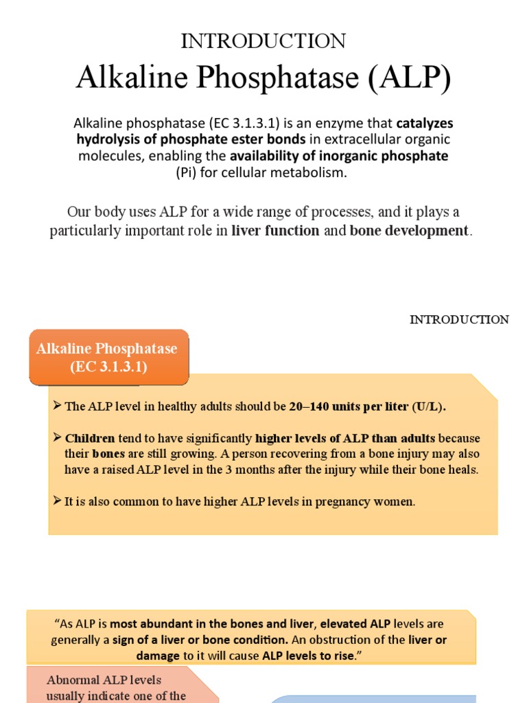 Understanding Elevated Alkaline Phosphatase | PDF