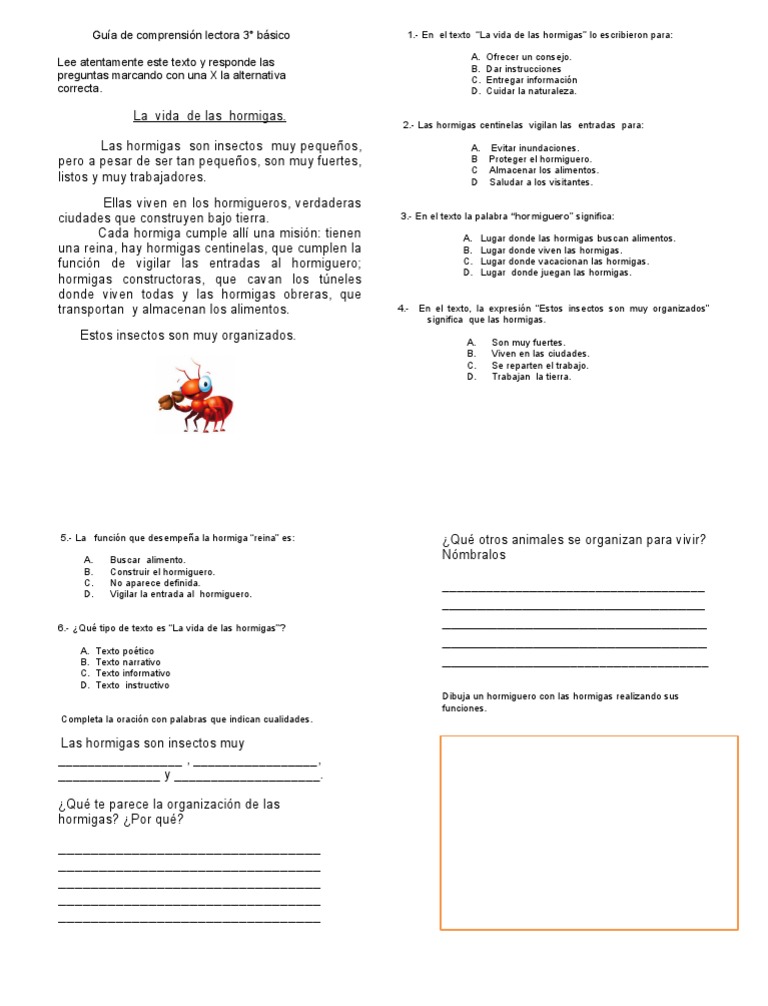 Guia de Comprension Lectora 3 18 de Marzo | PDF | Hormiga | Insectos