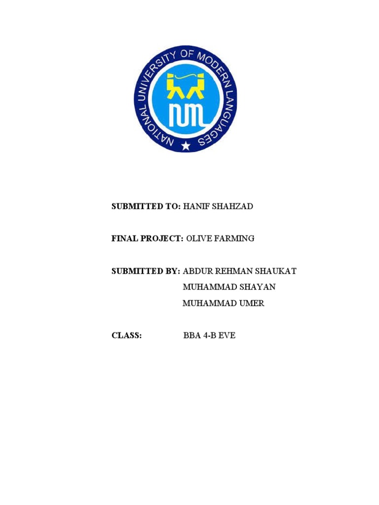 Final Project For Marketing Management | PDF | Olive | Olive Oil