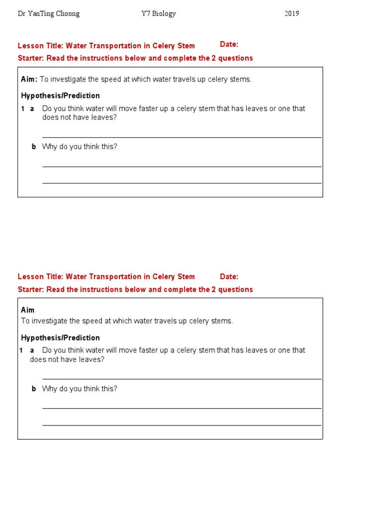 Y7 Plant 6 - Celery Stem Water Transport - Worksheet | PDF | Water | Nature