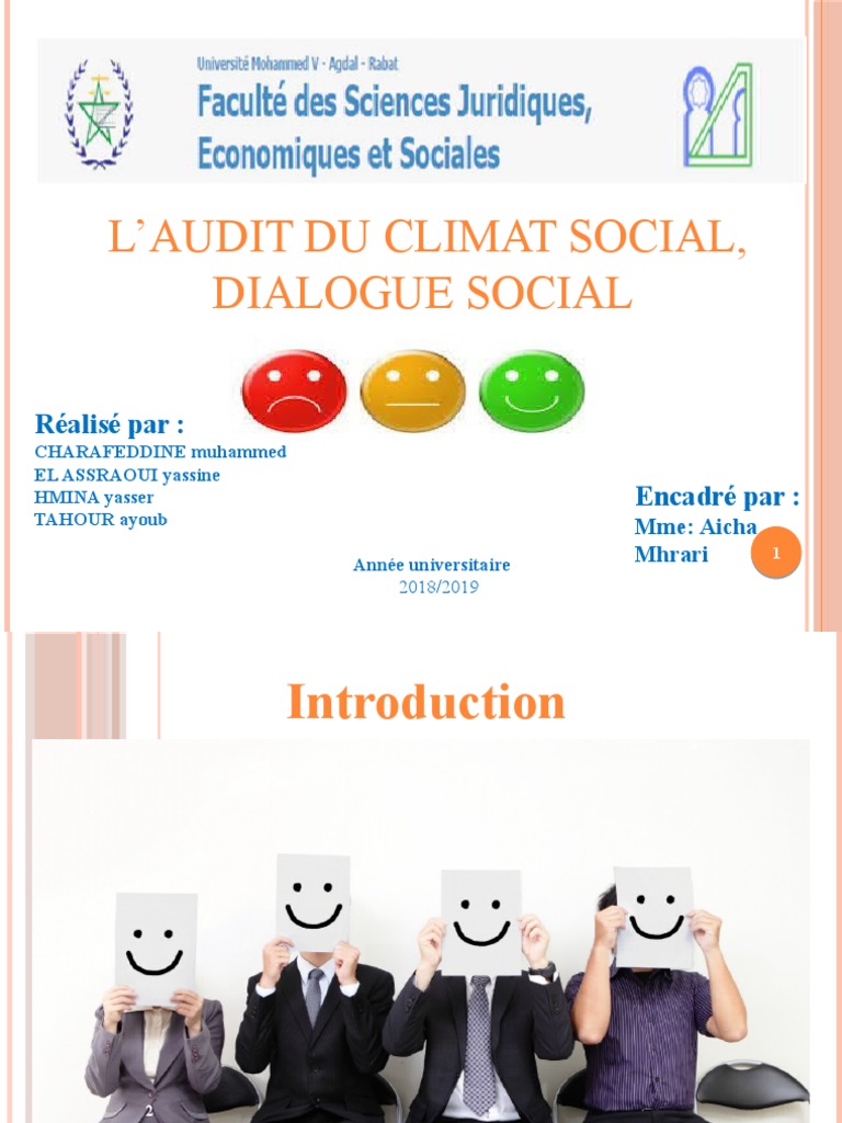 Audit Climat Social PPTF | PDF | Sociétés | Gouvernance