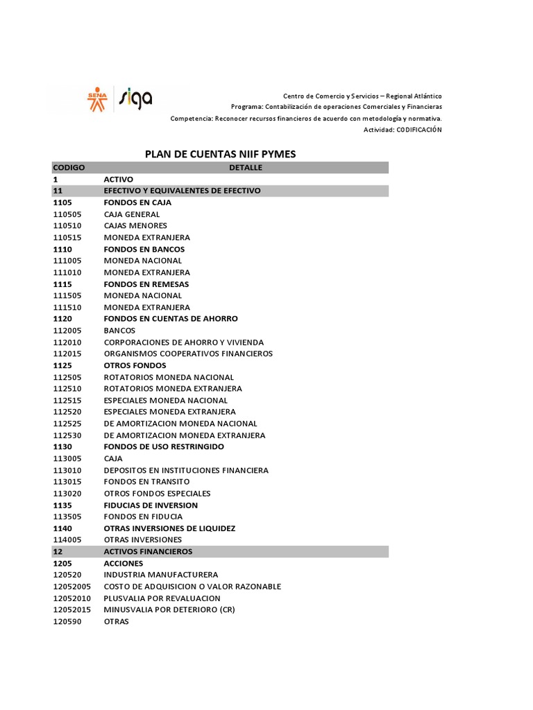 Plan de Cuenta NIIF PYMES | PDF | normas internacionales de INFORMACION FINANCIERA ...