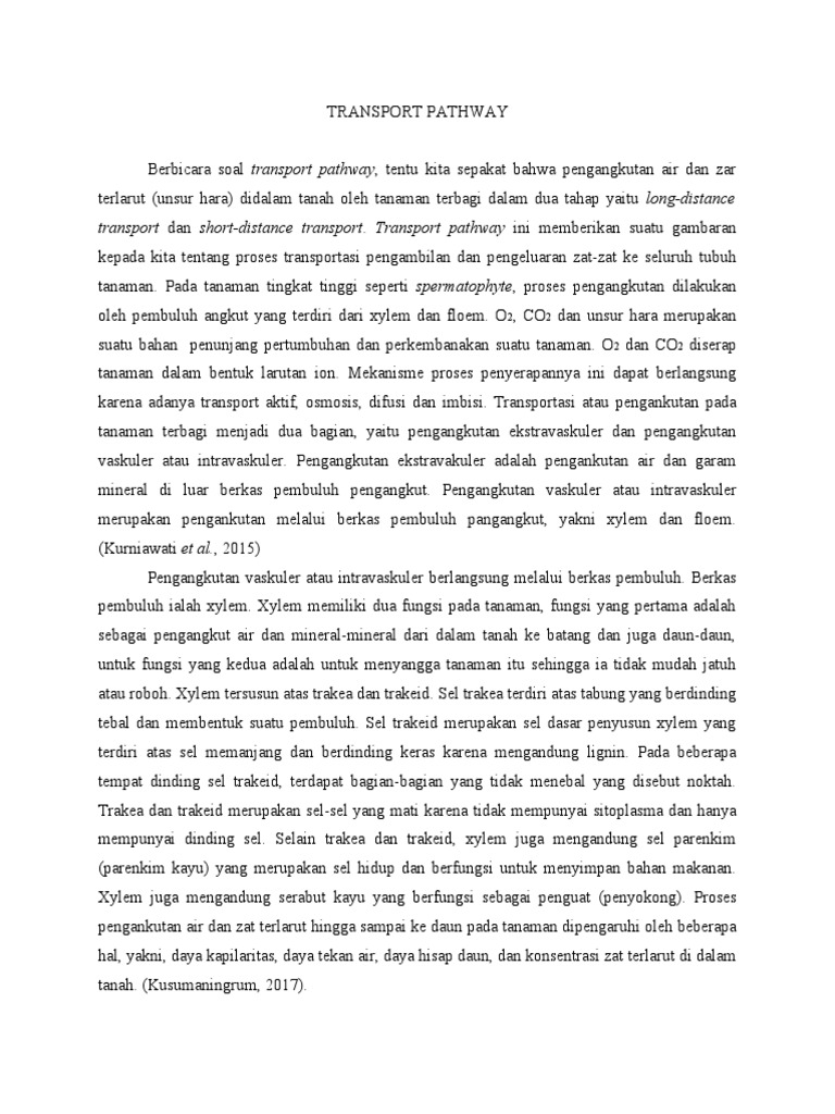 Transport Pathway | PDF
