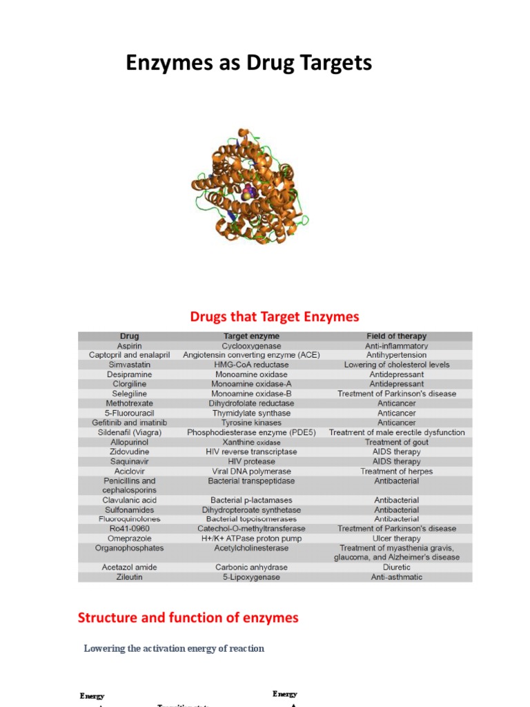 Lecture 6 - Enzymes As Drug Targets | PDF | Enzyme Inhibitor | Active Site