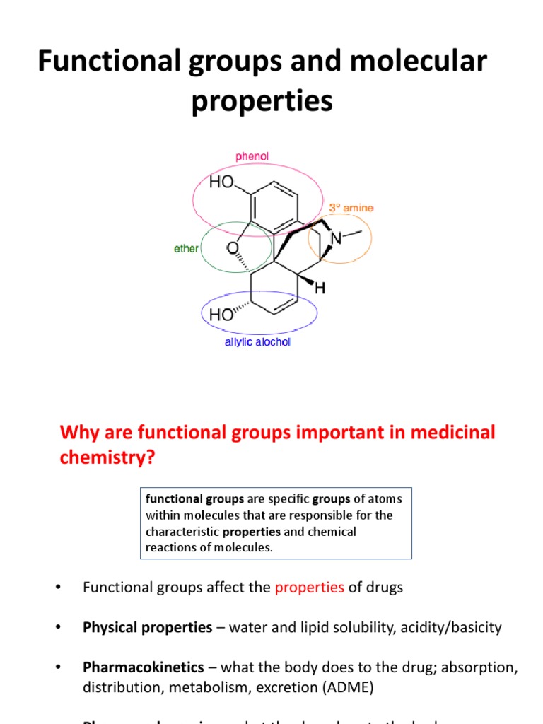 Lecture 2 - Functional Groups and Molecular Properties | PDF | Acid ...