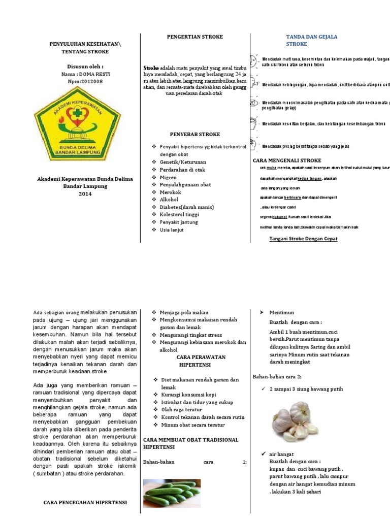Penyuluhan Brosur Stroke | PDF