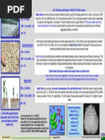 Tissue Culture Laboratory Layout Guide | PDF
