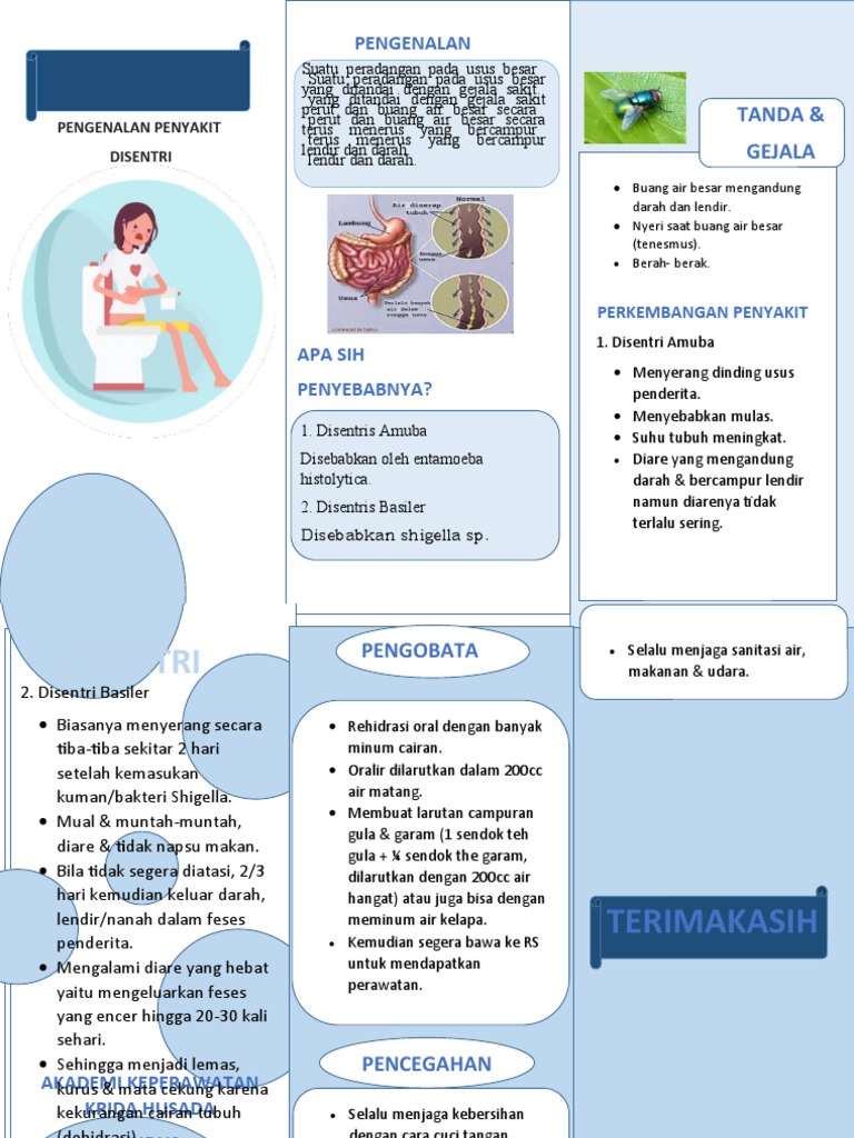 Leaflet Disentri | PDF