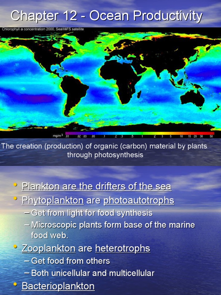 Understanding Ocean Productivity | PDF | Primary Production | Phytoplankton