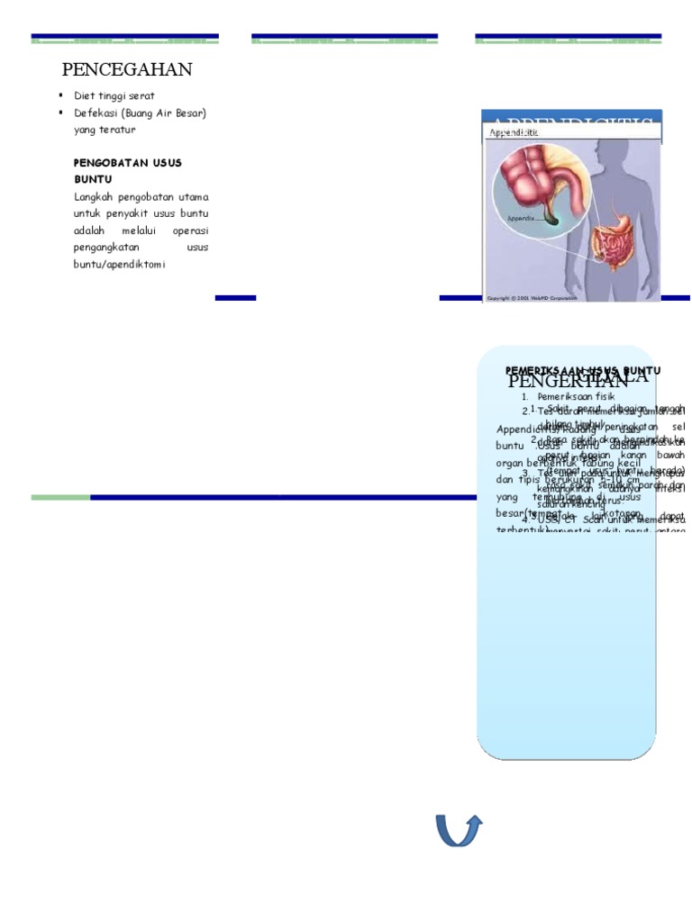 Leaflet Appendicitis | PDF