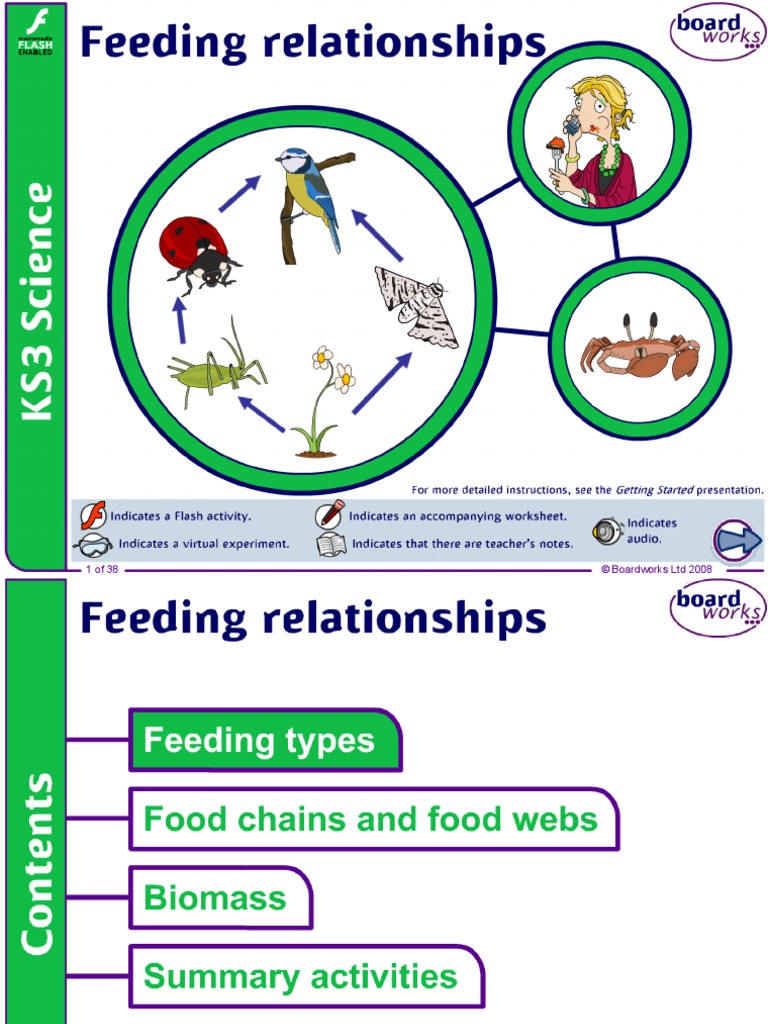 Feeding Relationships | PDF | Predation | Food Web