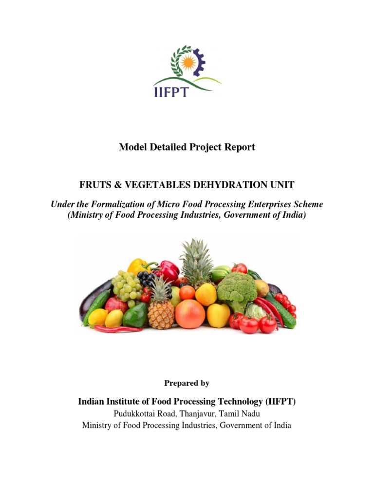 Model Detailed Project Report: Fruts & Vegetables Dehydration Unit ...