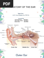 Gans Sensory Organization Performance (SOP) Test | PDF | Vertigo ...