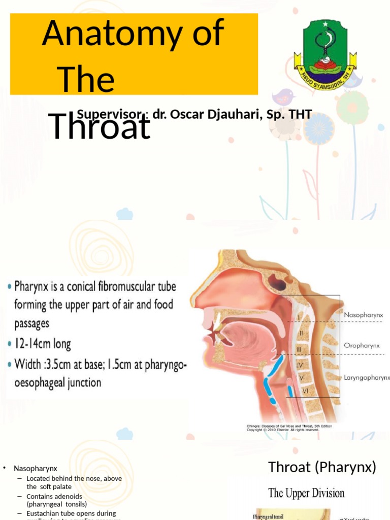 Anatomy of The Throat DR Oscar Presentasi | PDF | Larynx | Digestive System