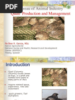 12 - AlroColorCodes-11042021 | PDF | Sheet Metal | Green