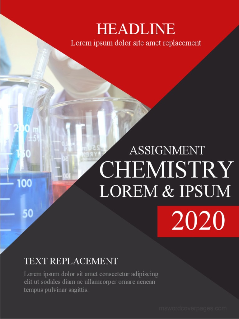Chemistry Assignment Cover Page 5 | PDF