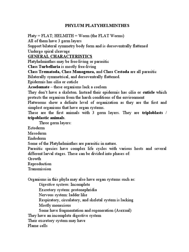Phylum Platyhelminthes | PDF