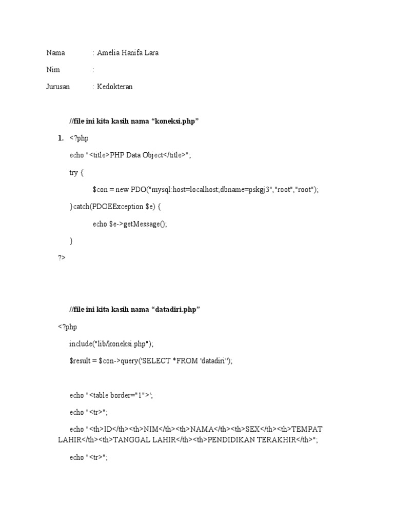 Amelia Hanifa Lara | PDF